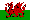 Translation Welsh-English-Welsh - FREELANG online dictionary